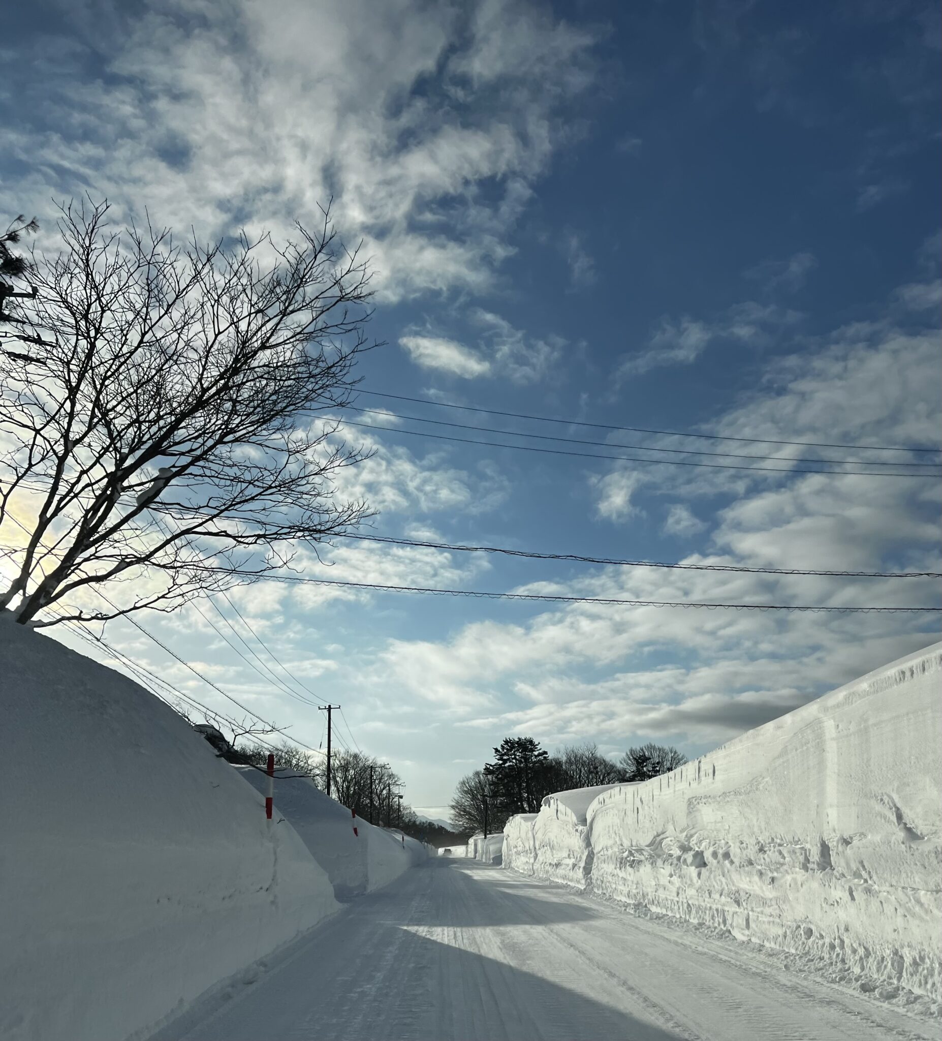裏磐梯の積雪状況 | 桧原漁業協同組合